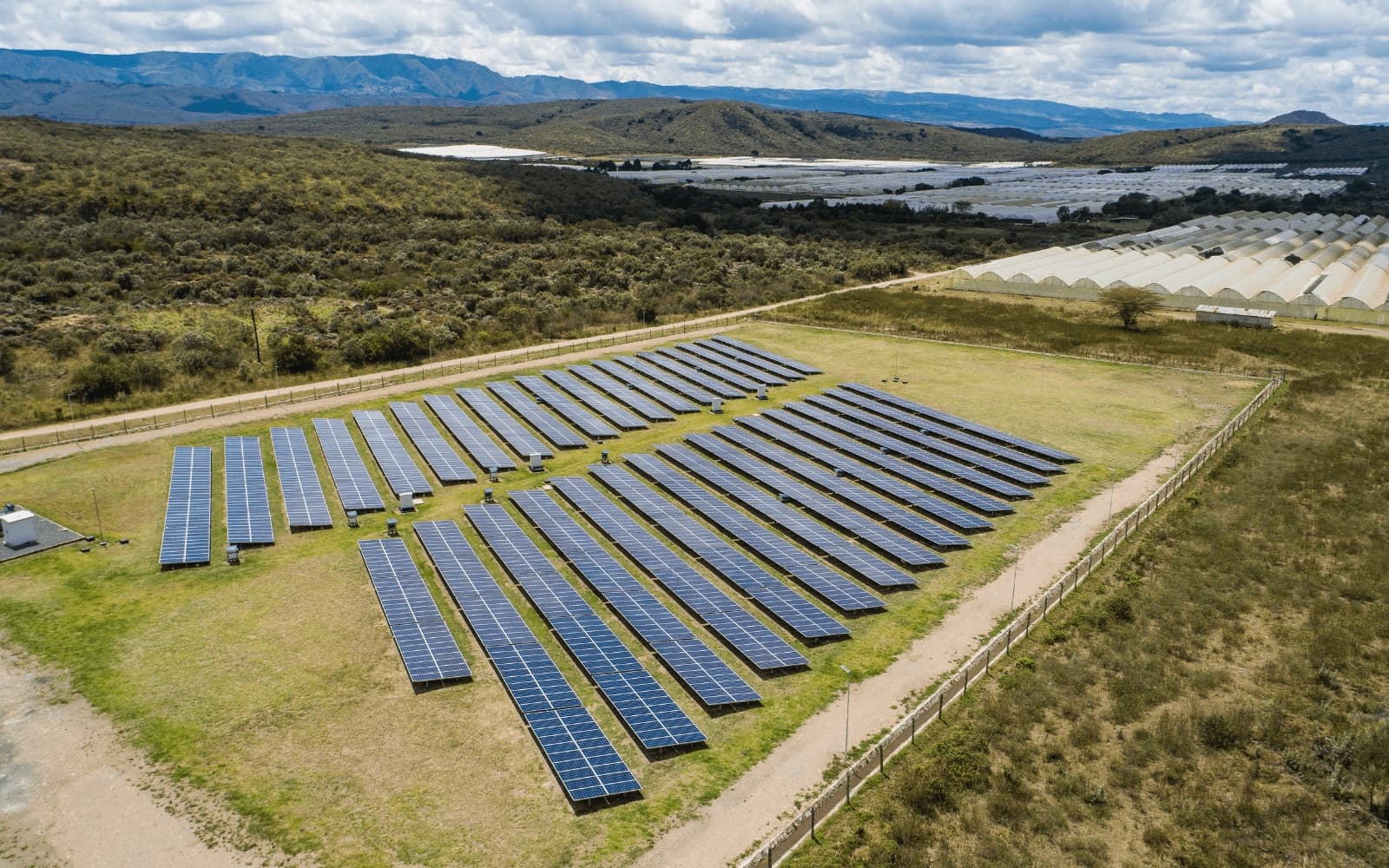 All Projects · nLine